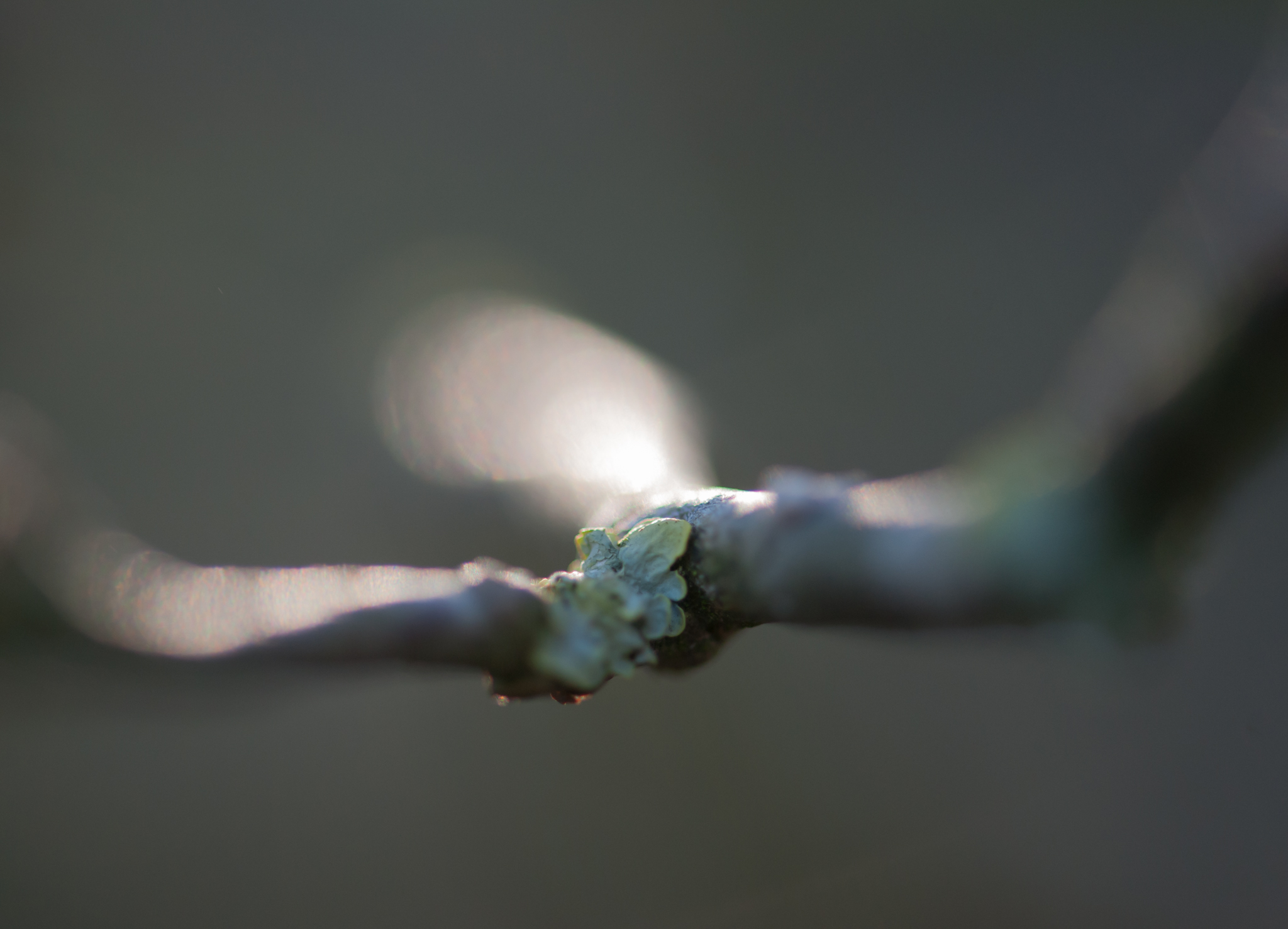 Kunstenaars & makers - Keunstwurk