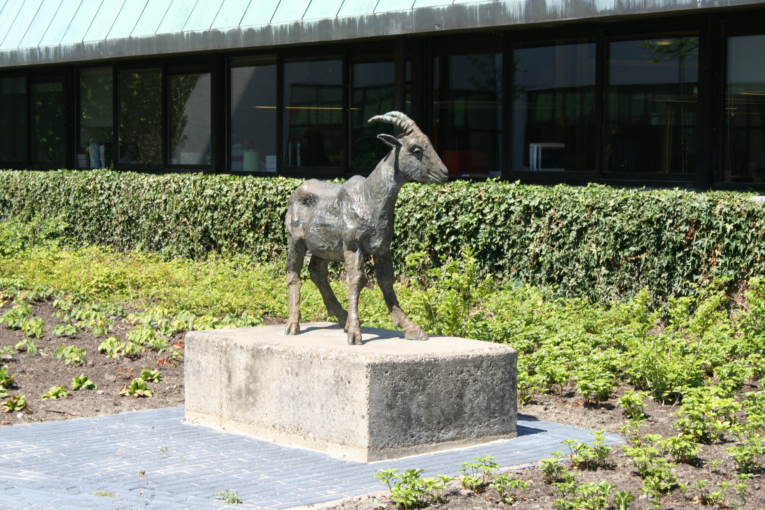 De geit - Keunstwurk